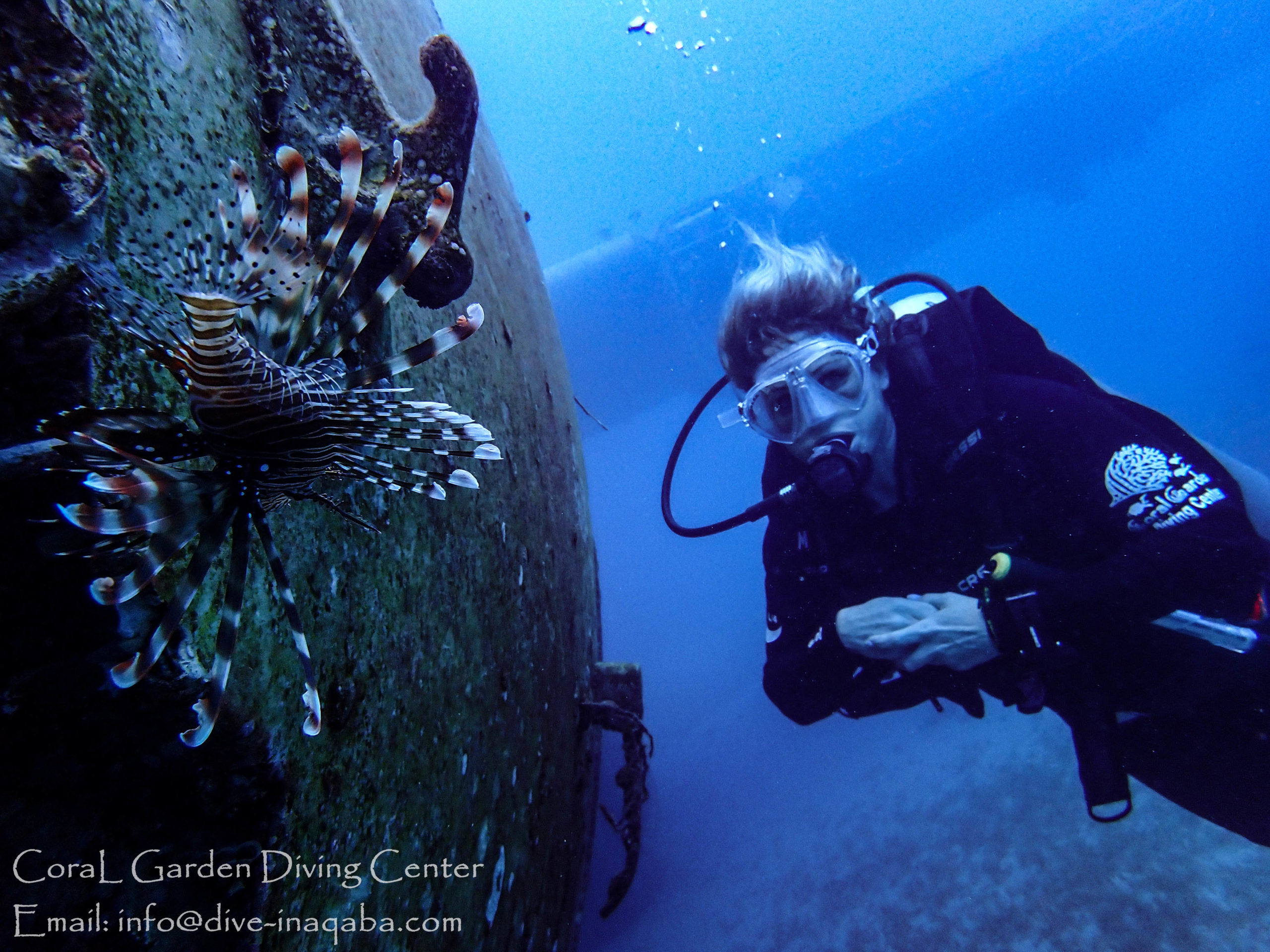 Scuba Dive a Battle Tank in Aqaba, Jordan - Jenz Journeys