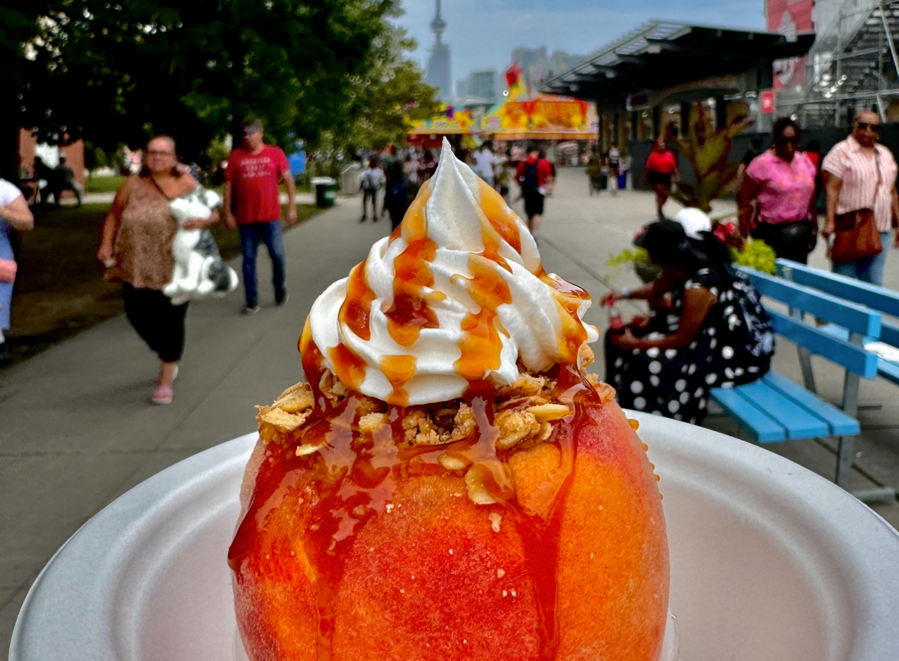 14 Crazy, New & Secret Foods at CNE 2024 - Jenz Journeys